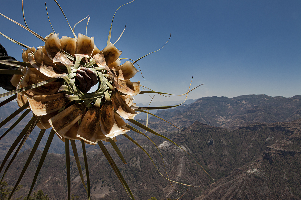 Home - Dark Mountain